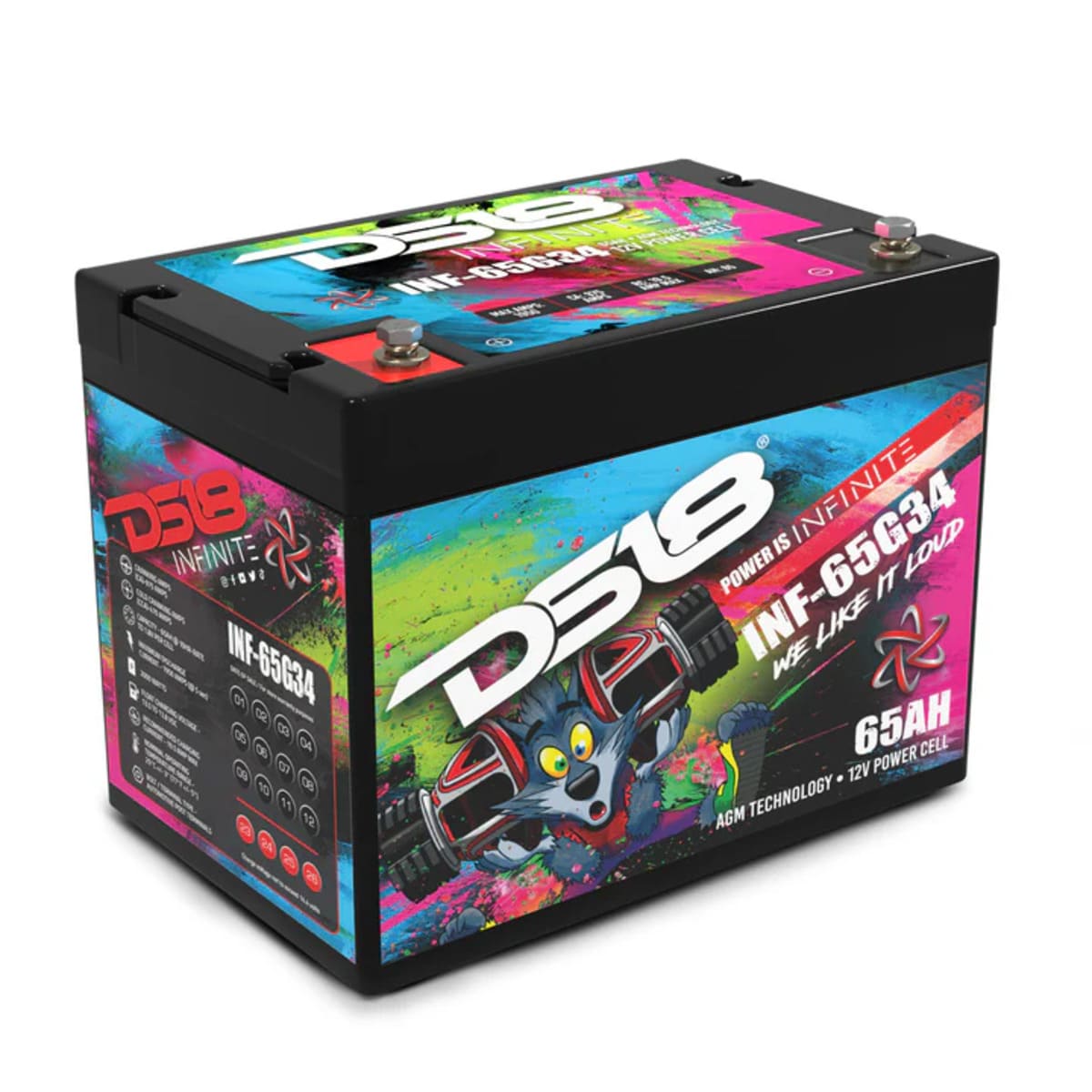 DS18 Infinite 65 AH 2000 Watts AGM Group 34 Power Cell 12 Volt Battery